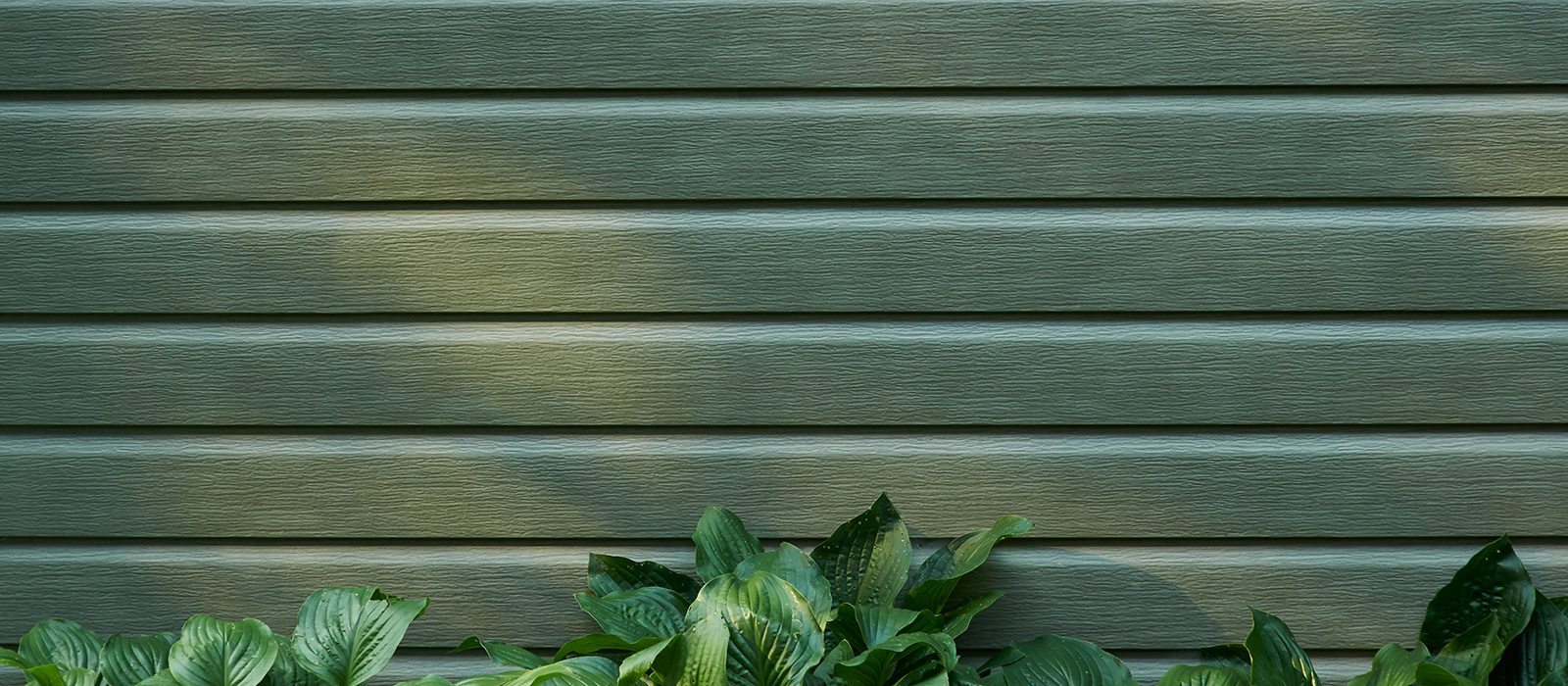 Need Color Inspiration? - Quality Edge